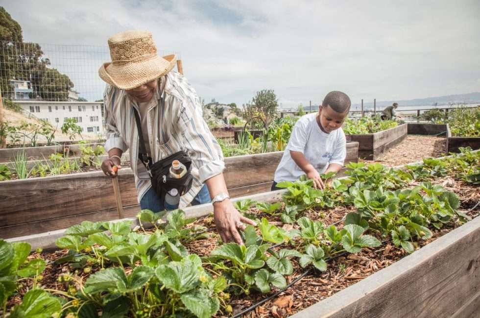 Resident Programs - BRIDGE Housing
